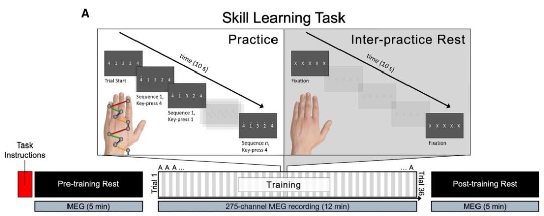 GitHub - Achuan-2/siyuan-plugin-task-note-management: A task note reminder plugin developed for ...